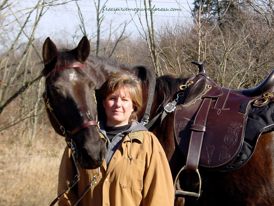 Albion: The Wisdom of a Horse – Free Spirit Meg